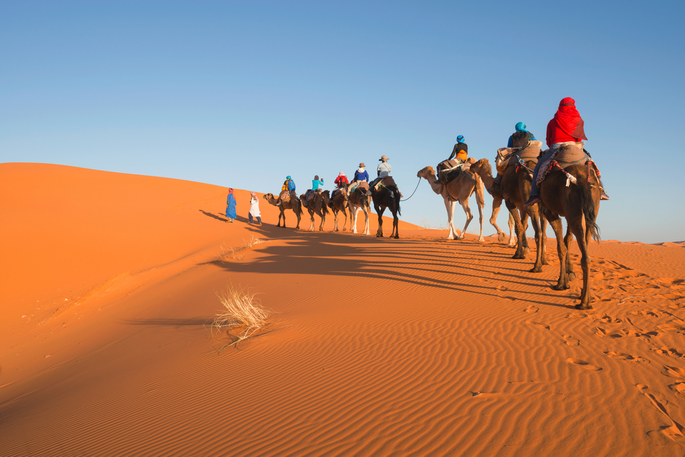 L'agence Voyagiste Maroc : Organisateur Voyage | Voyagiste Maroc